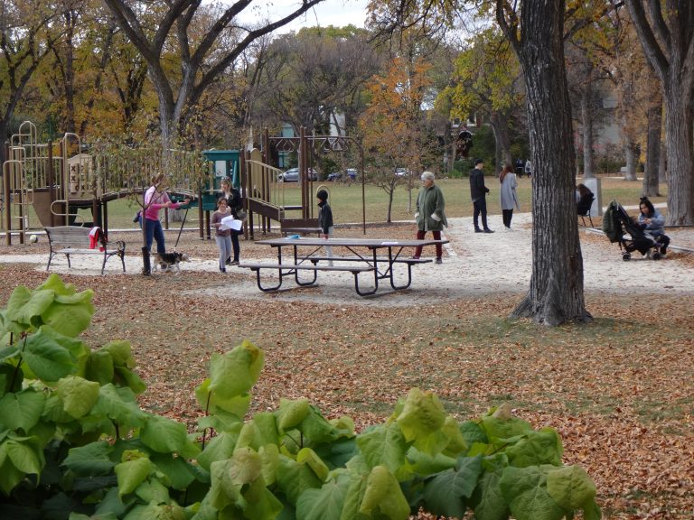 Peanut Park | Friends of Peanut Park